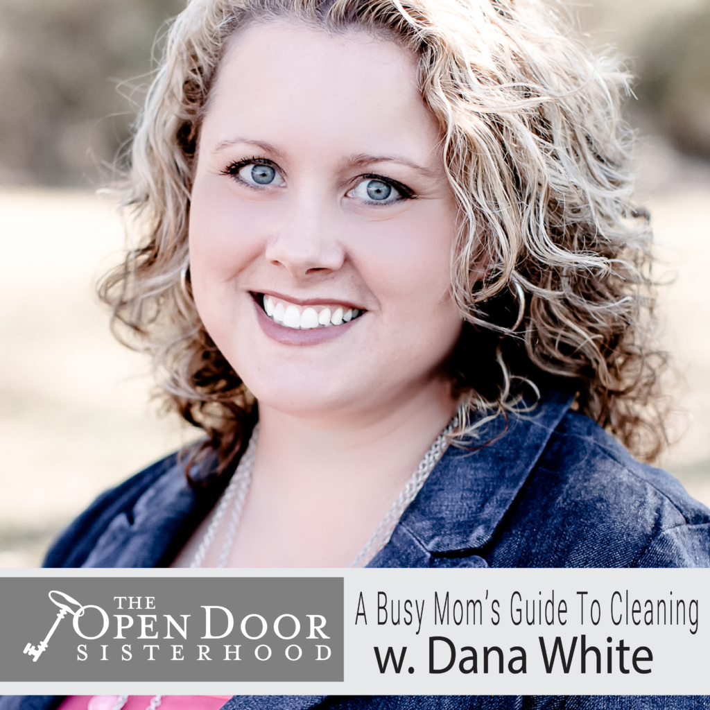 A Busy Mom's Guide To Cleaning with Dana White - The Open Door Sisterhood